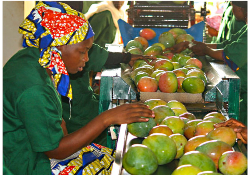 CPD : Formation Agro-Alimentaire